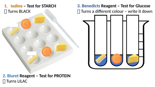 FOOD TESTS - Iodine, Biuret, Benedicts (GCSE Biology) | Teaching Resources