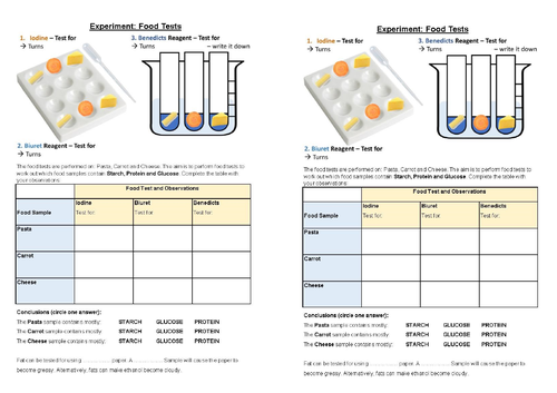FOOD TESTS - Iodine, Biuret, Benedicts (GCSE Biology) | Teaching Resources FOOD TESTS - Iodine, Biuret, Benedicts (GCSE Biology) | Teaching Resources