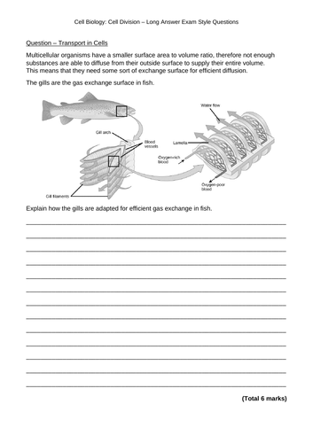B1 Cell Biology AQA GCSE Science Biology Revision 9-1 | Teaching Resources