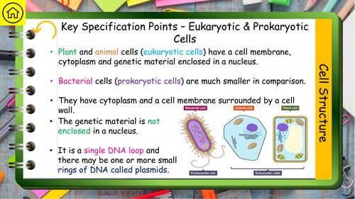 B1 Cell Biology AQA GCSE Science Biology Revision 9-1 | Teaching Resources