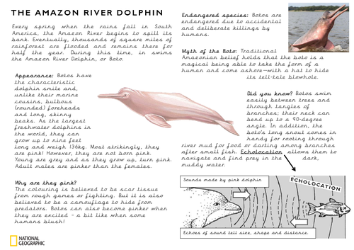 The Explorer- Comprehension Task- Amazon Pink River Dolphin | Teaching ...