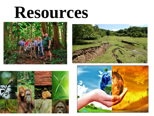 Impacts of deforestation | Teaching Resources