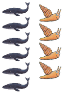 The Snail and the Whale Character Description | Teaching Resources