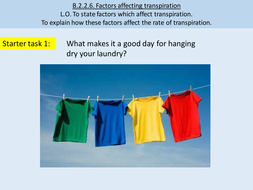 Transpiration / Factors Affecting Transpiration | Teaching Resources
