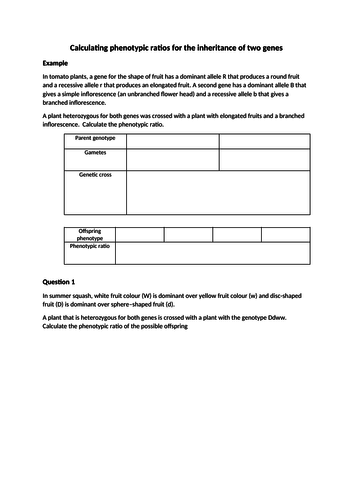 Monohybrid & dihybrid crosses (AQA A-level Biology) | Teaching Resources