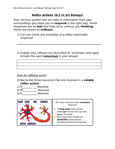 AQA GCSE (Triple/ Combined 9-1) -B10 Human Nervous System - 10.3 Reflex ...