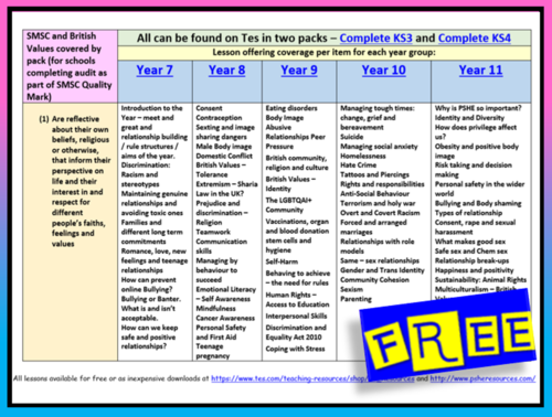 SMSC + British Values Audit | Teaching Resources