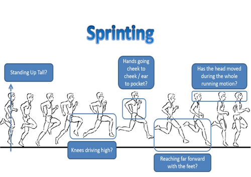 Athletics Bundle | Teaching Resources