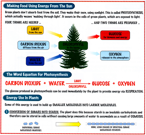 Science classroom displays- Physics, Chemistry,Biology Revision cards ...