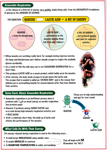 Science classroom displays- Physics, Chemistry,Biology Revision cards ...