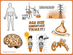 PiXL Resource-Science GCSE revision mats | Teaching Resources