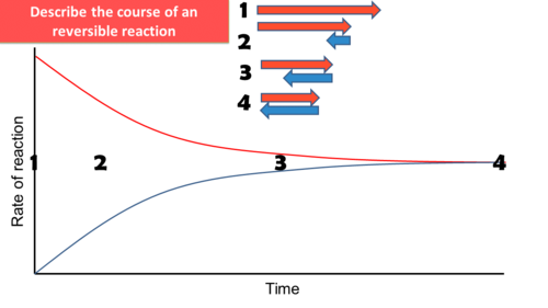 C8.8 Dynamic Equilibrium | Teaching Resources