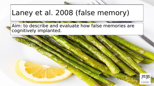 Laney et al False Memory CIE specification Psych | Teaching Resources