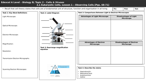 Edexcel Biology B A Level. Topic 2 - Cells & Viruses. 2.1 Eukaryotic ...