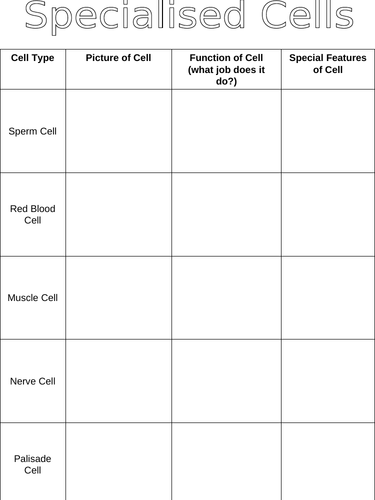 KS3 Cells - Resources to Teach KS3 Cells | Teaching Resources
