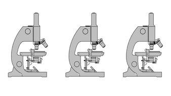 KS3 Cells - Resources to Teach KS3 Cells | Teaching Resources