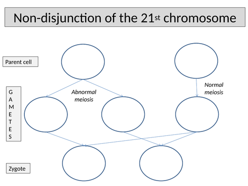 Chromosome mutations (AQA A-level Biology) | Teaching Resources