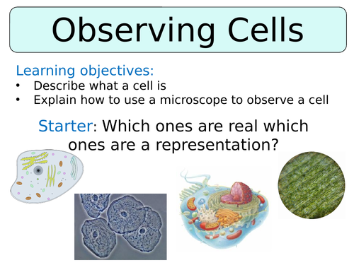 KS3 ~ Year 7 ~ Observing Cells Using A Microscope | Teaching Resources