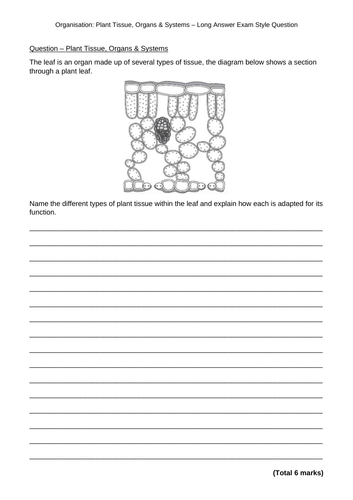 B2 Organisation AQA GCSE Science Biology Revision 9-1 | Teaching Resources