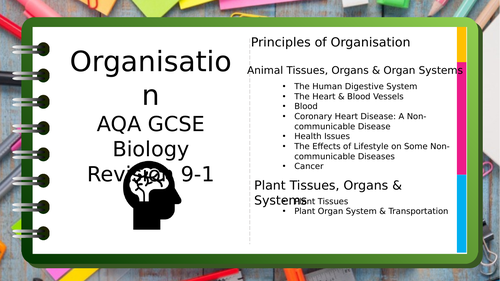 B2 Organisation AQA GCSE Science Biology Revision 9-1 | Teaching Resources