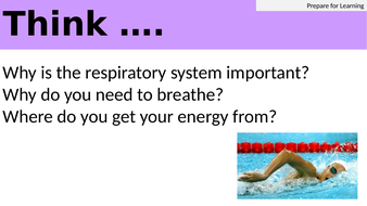 KS3 Respiratory System and Respiration | Teaching Resources