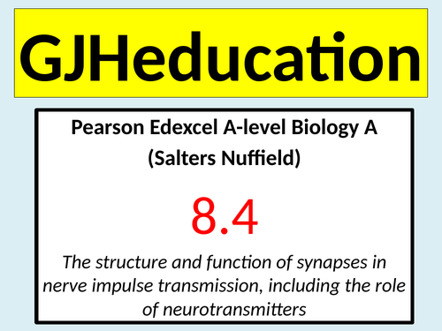 Synapses (Pearson Edexcel A-level Biology) | Teaching Resources