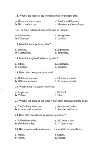 Science Test. The Human Body | Teaching Resources