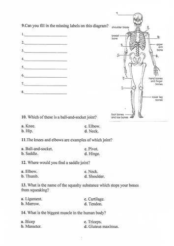 Science Test. The Human Body | Teaching Resources