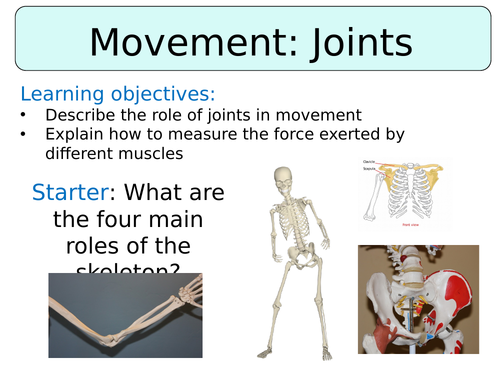 NEW KS3 ~ Year 7 ~ B2 Structure & Function of Body Systems | Teaching ...