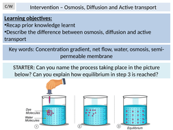 Revision Diffusion, Osmosis and Active transport | Teaching Resources