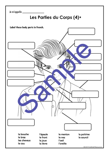 French Body Parts Worksheets | Teaching Resources