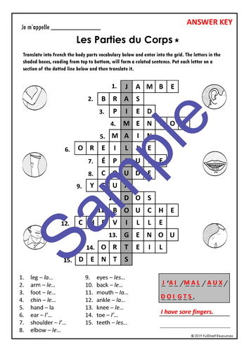 French Body Parts Worksheets | Teaching Resources