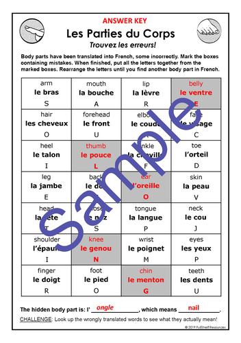 French Body Parts Worksheets | Teaching Resources