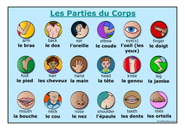 French Body Parts Worksheets | Teaching Resources