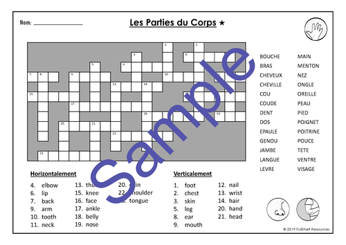 French Body Parts Worksheets | Teaching Resources
