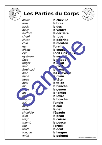 French Body Parts Worksheets | Teaching Resources