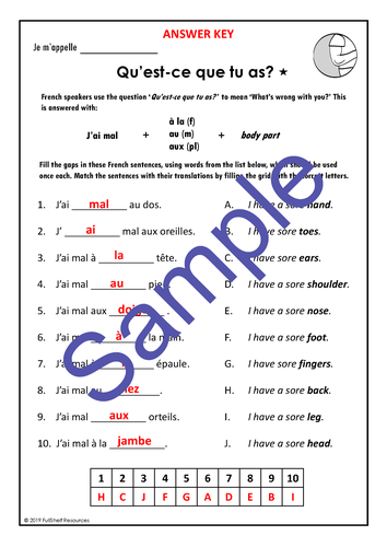 French Body Parts Worksheets | Teaching Resources