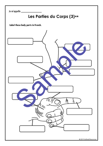 French Body Parts Worksheets | Teaching Resources