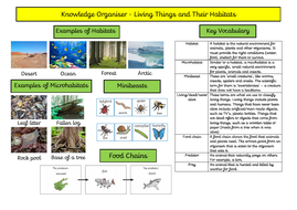 Year 2 Knowledge Organisers | Teaching Resources