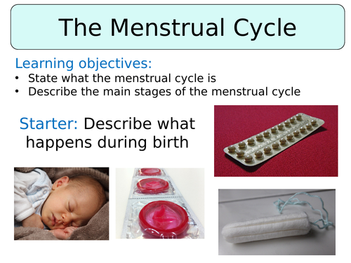 KS3 ~ Year 7 ~ The Menstrual Cycle | Teaching Resources
