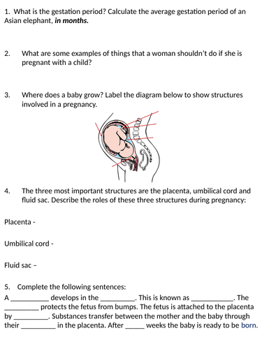 KS3 ~ Year 7 ~ Development Of A Fetus | Teaching Resources