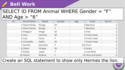 2.2 Programming Techniques (full lesson set - 8 lessons) | Teaching ...