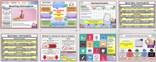 Sexual Health + Contraception PSHE | Teaching Resources