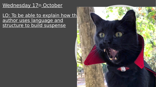 Dracula Scheme of Work KS4 *Usborne Text* | Teaching Resources