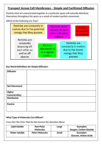 Diffusion for A Level Biology | Teaching Resources