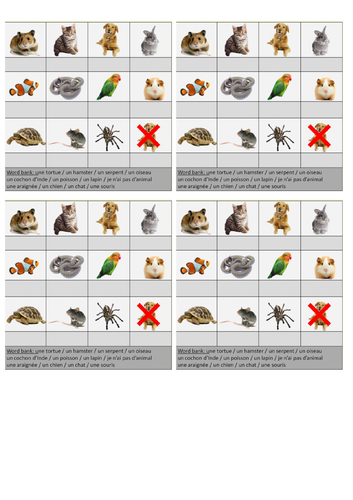 Tu as un animal? pets y7 French | Teaching Resources