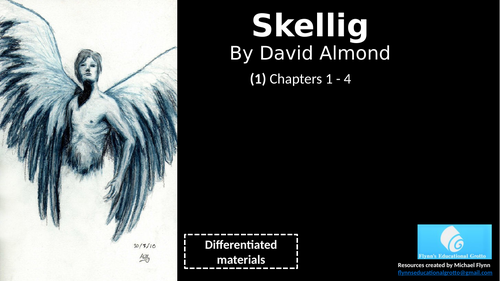 KS3: Skellig (1) Chapters 1 to 4 | Teaching Resources