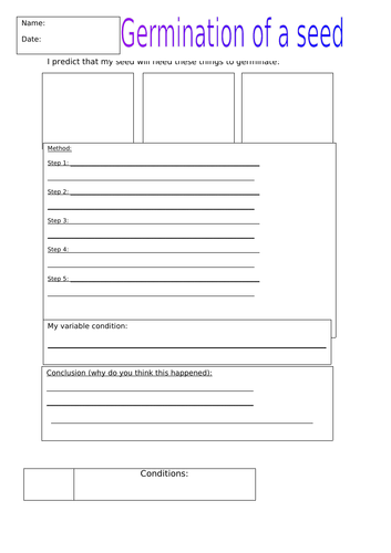 Germination of a seed - Experiment planning sheet | Teaching Resources