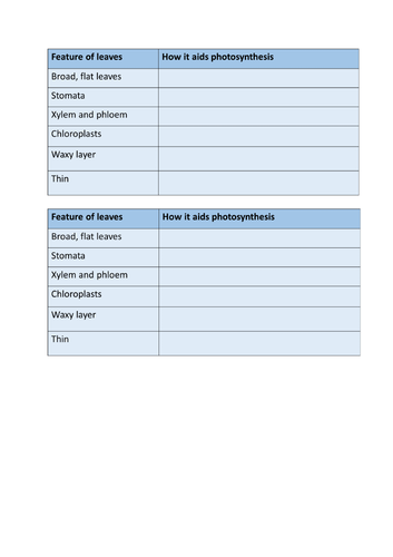 Factors Affecting Photosynthesis | Teaching Resources