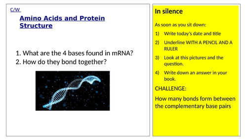 Amino Acids and Protein Structure | Teaching Resources